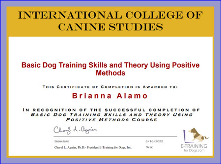 About Us - Canine University