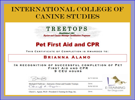 About Us - Canine University