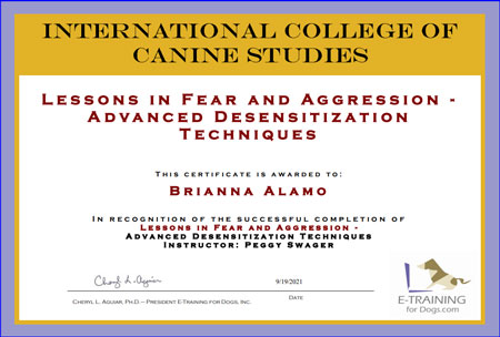 About Us - Canine University