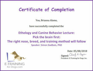 About Us - Canine University